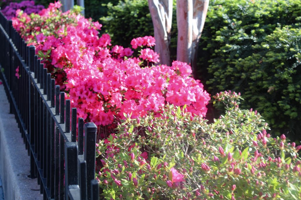 5 Reasons to LOVE Embassy Suites Washington, DC Georgetown for Your ...