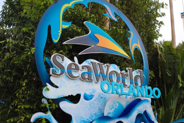 Seaworld Military Discount: Why the Waves of Honor Program Should be on ...